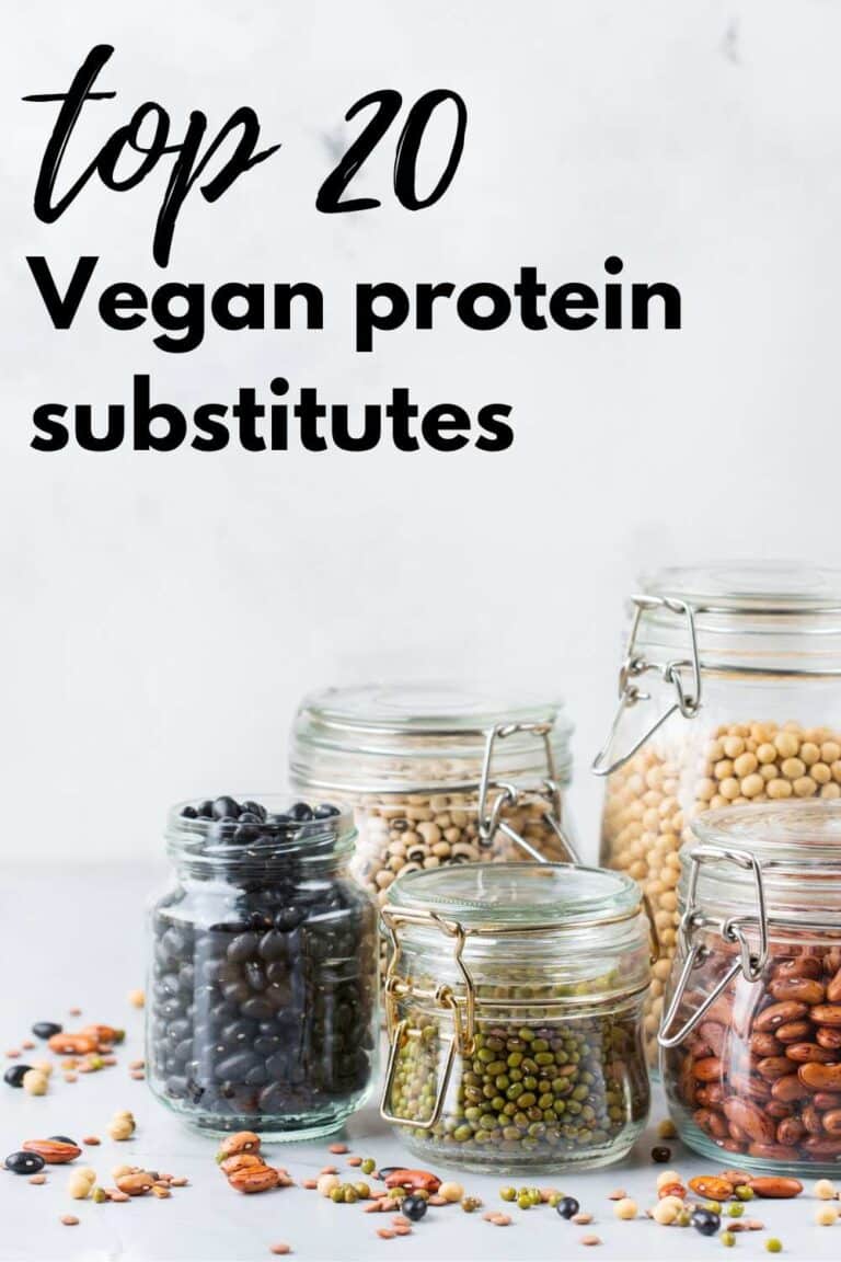 Top 20 Vegan Protein Substitutes