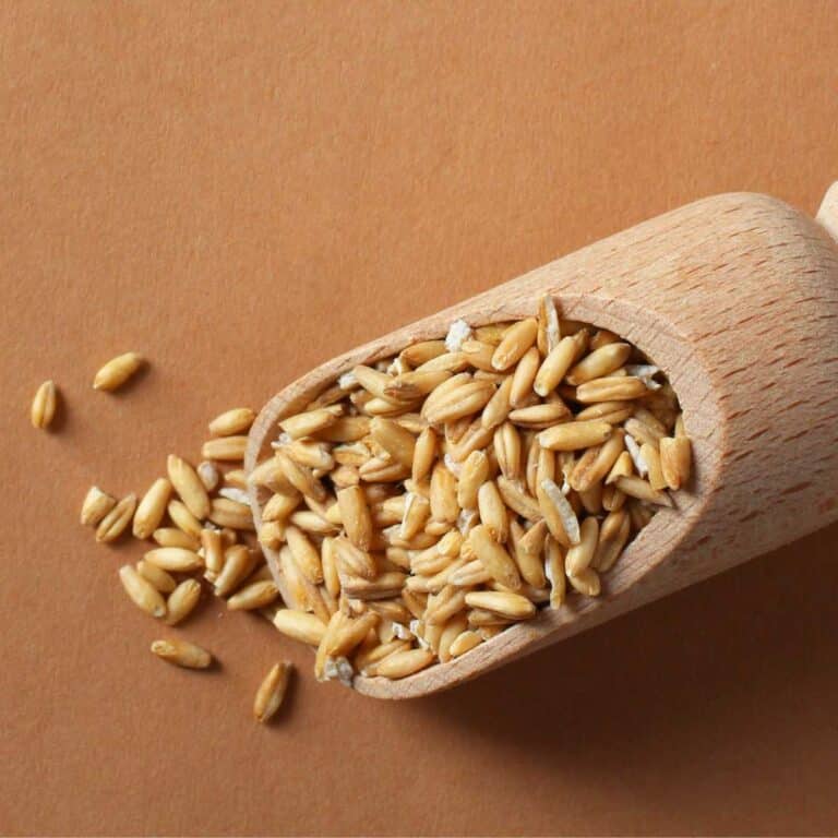 17 Best Barley Substitutes (And How To Use Them)