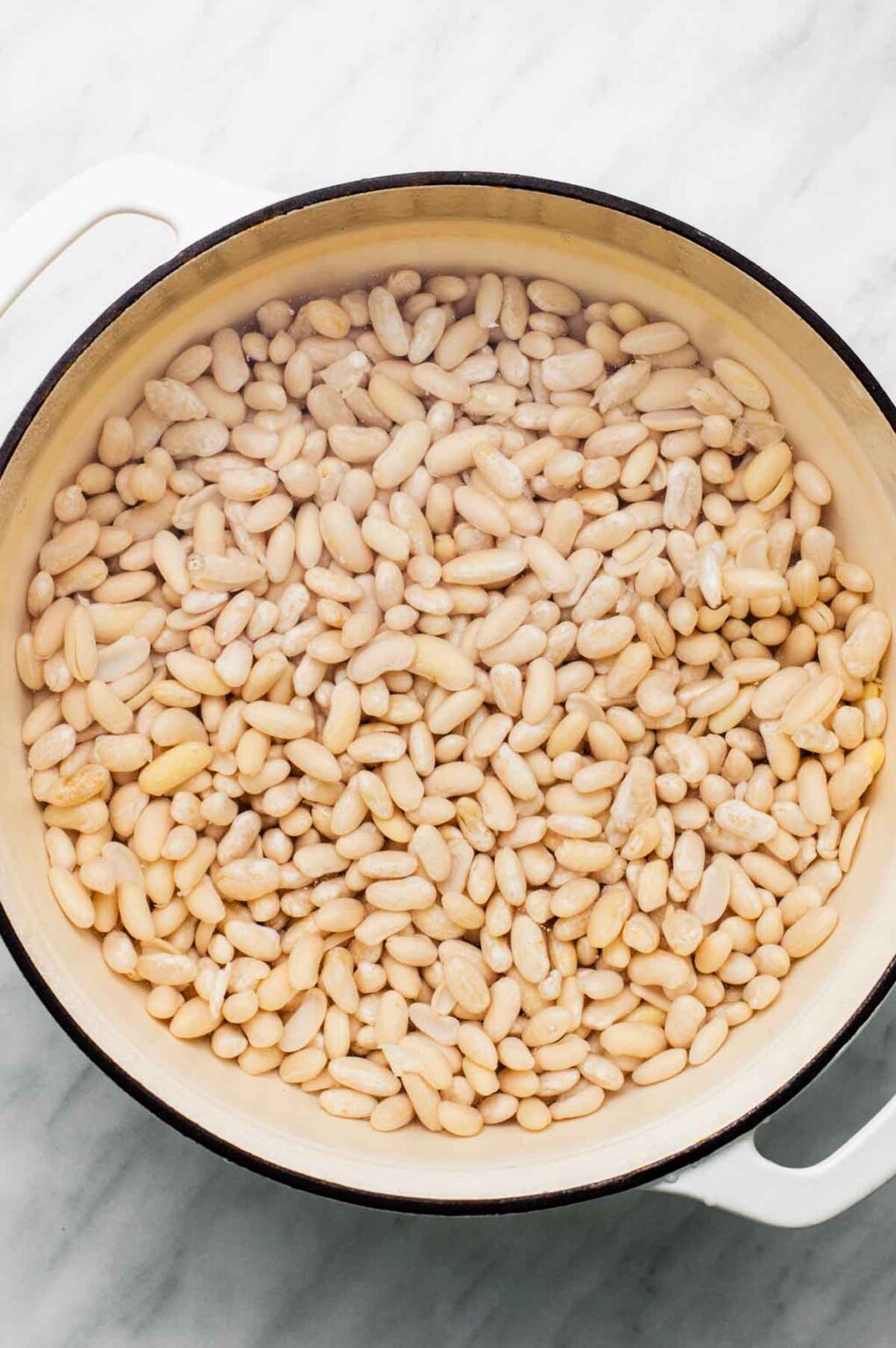 Cozy Navy Bean Vegetable Soup
