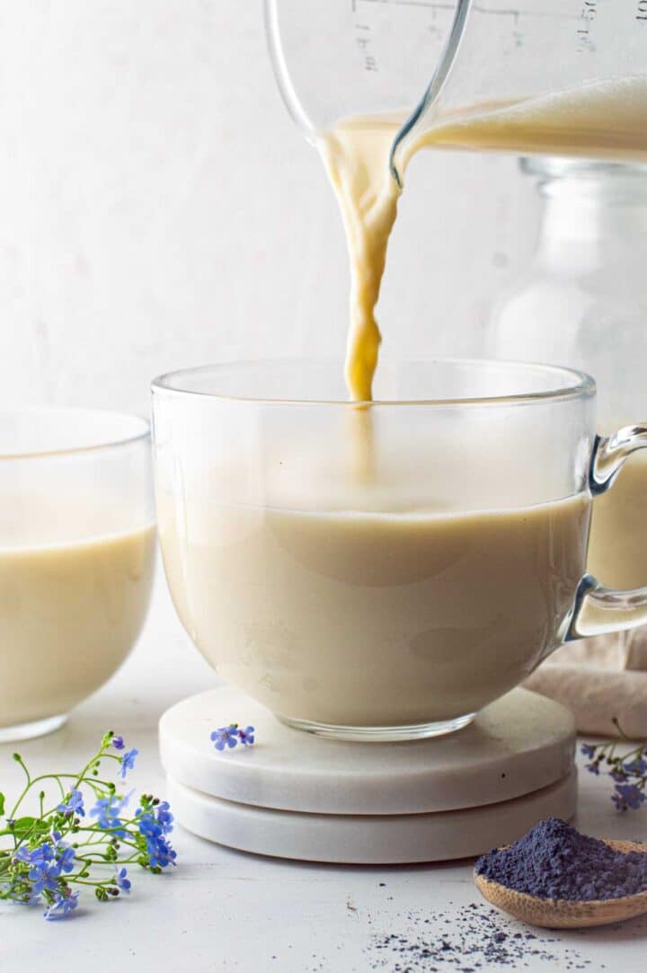 Blue Latte With Butterfly Pea Flower (Hot and Iced) - Health My Lifestyle