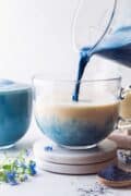 Blue Latte With Butterfly Pea Flower (Hot and Iced) - Health My Lifestyle